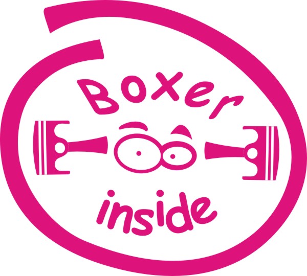 Sticker Boxer Inside #3 | Stickers & Design | R1250GS + R1250GS LC ...